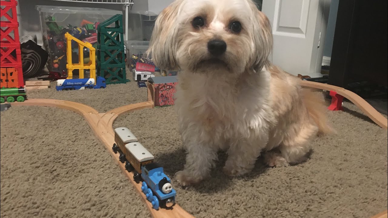 Flipaclip basic train animation