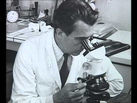 The Beljanski Legacy Trailer (Documentary in english)