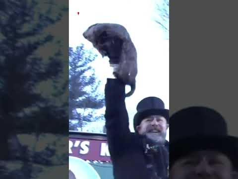 #Groundhog Day 2023