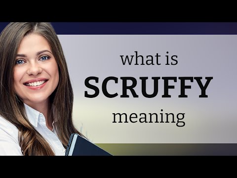 Scruffy | definition of SCRUFFY