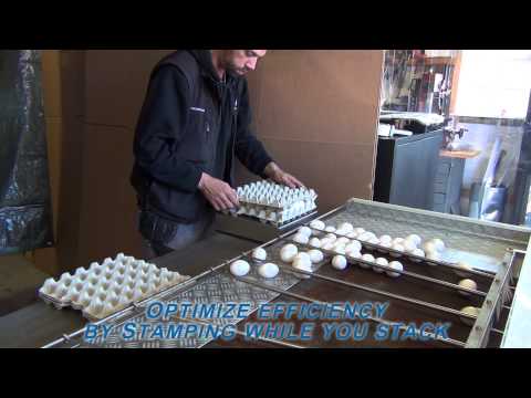 Nuovo Egg Stamper - Manual stamping on Grader