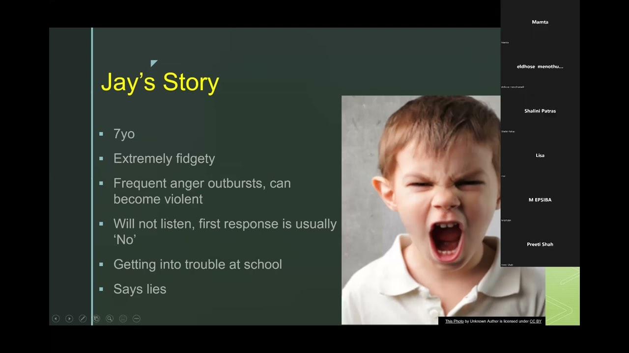 Parents Neuroscience Series: Behaviour and the Brain Workshop 1: Understanding your child's brain