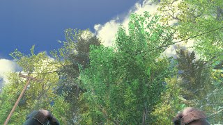 Fallout 4 Gameplay 2022 With Cheff's ENB and Springtime Trees Mod at ...