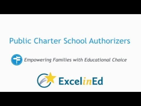 What is a public charter school authorizer?