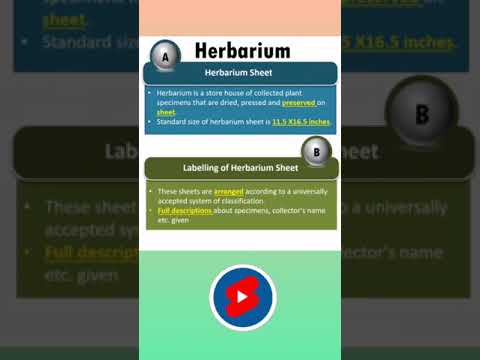 What is Herbarium? | The Living World Class 11 Biology #shorts #neet