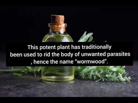 Artemisia absinthium benefits