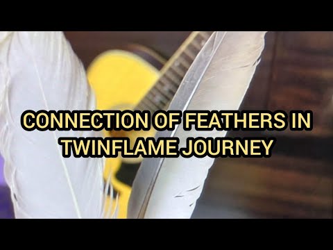 CONNECTION OF FEATHERS IN TWINFLAME JOURNEY
