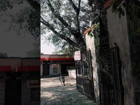 Post office 😱 ye kya hua#short#viral#video#like❤️❤️#office