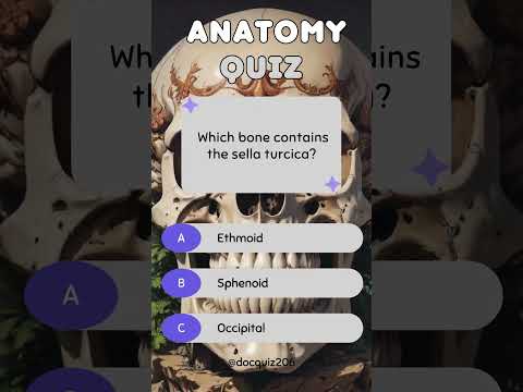 Which bone contains the sella turcica? #anatomy #anatomyquiz #quiz #quiztime