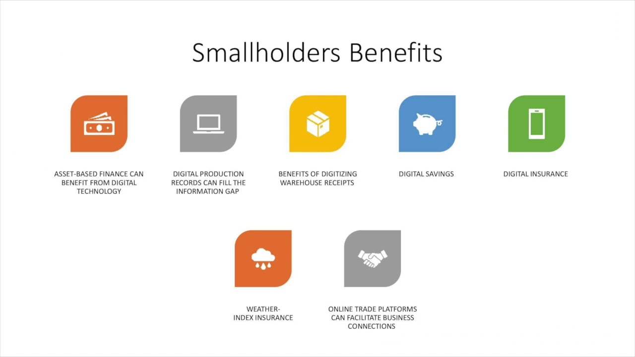 BBA RM - Rural Value Chain - C4 - S5 - Financing Agricultural Value Chain in the Digital Age