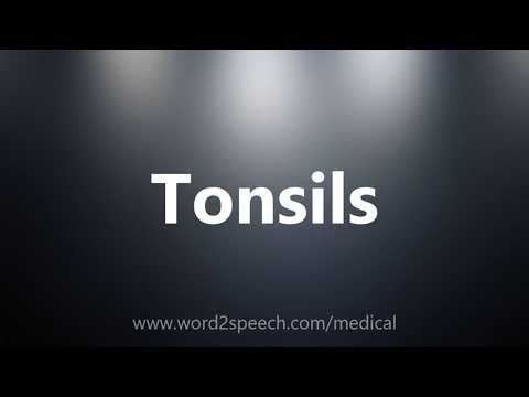 Tonsils - Medical Meaning and Pronunciation