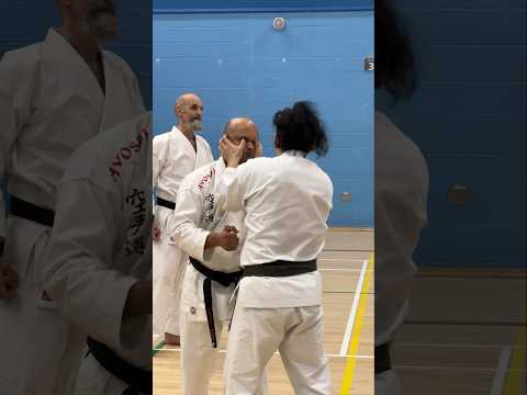 Heian Yondan Bunkai