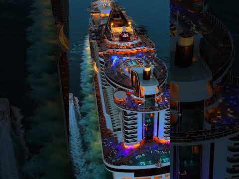 Nights on #MSCSeascape ⭐