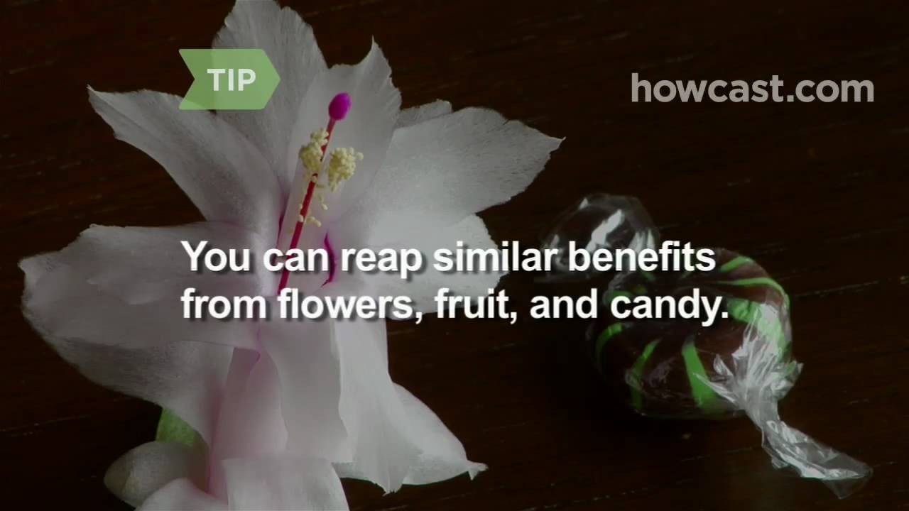 How to Use Aromatherapy’s Essential Oils to Improve Your Life