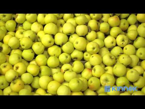 What's it like to Make Cider?