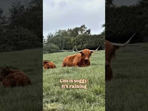 How we predict the weather in Scotland 🌡️ | Visit Scotland 💙