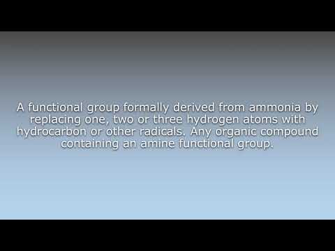 What does Amine mean?