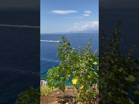 Hydra Island view