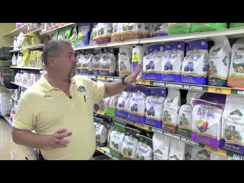 How-to grow blue hydrangeas #platthillnursery
