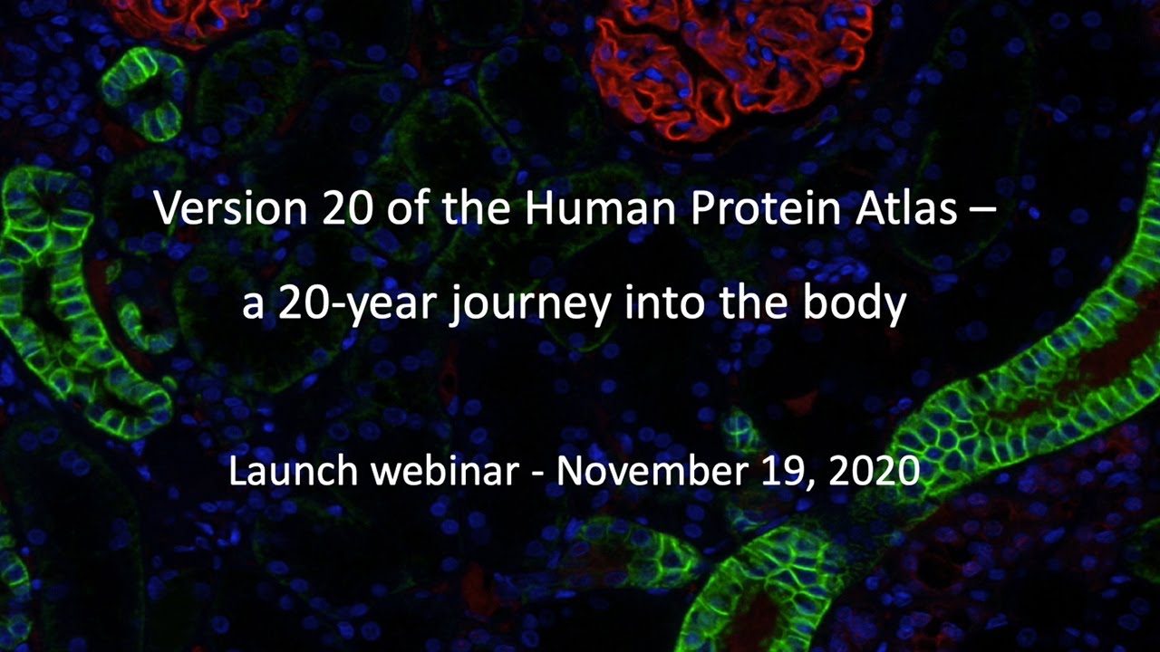 HPA 20 - Launch webinar