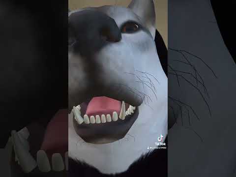 I'm the alpha wolf #funny #memes #music #vr