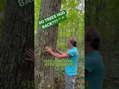 Why You’re a TREE-HUGGER; NATURE’S SECRET!!! 💚💚💚