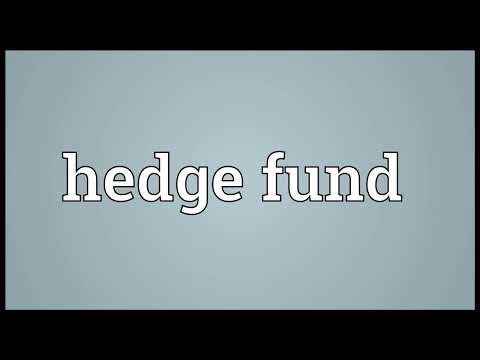 Hedge fund Meaning
