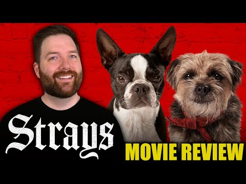 Strays - Movie Review