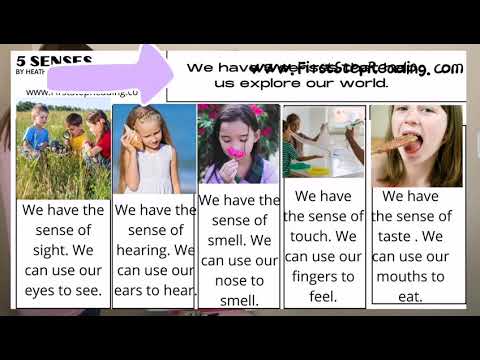 6. O-T The 5 Senses, Fall, Letters, Numbers, Reading, Math and More