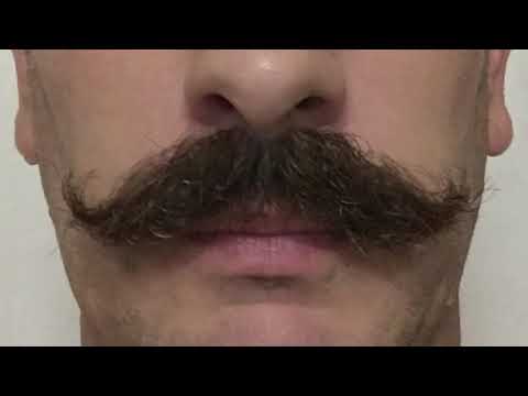 Movember: Amazing Moustache Growth Six Months