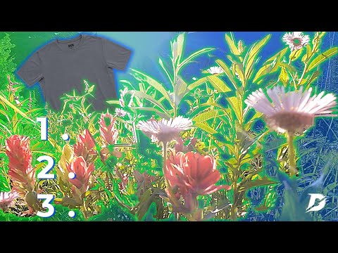 Summer Running T-Shirts: My Top 3
