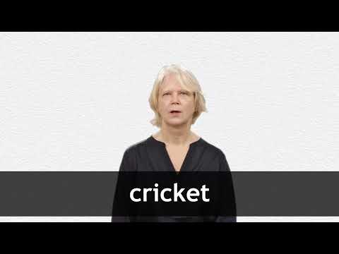 CRICKET definition and meaning | Collins English Dictionary