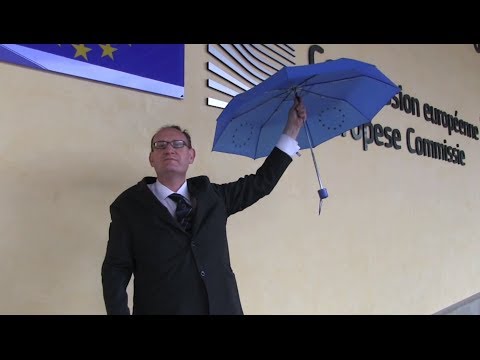 The True Model of a Modern Director-General