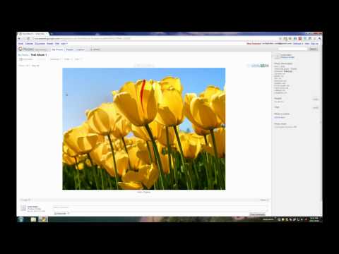 How to share high quality photos with friends, family or associates