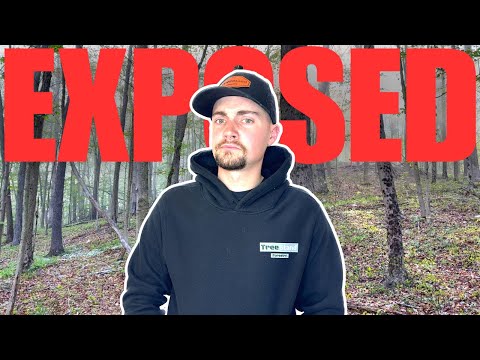 Everything you NEED to know about the logging industry