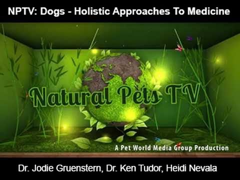Natural Pets TV: Dog Edition - Episode 3 - Holistic approaches to medical treatments...