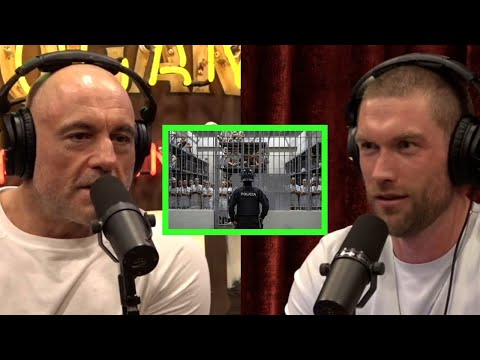 #2104 - Chris Williamson: The Joe Rogan Experience | Podcast Episode on Podbay