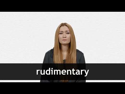 How to pronounce RUDIMENTARY in American English
