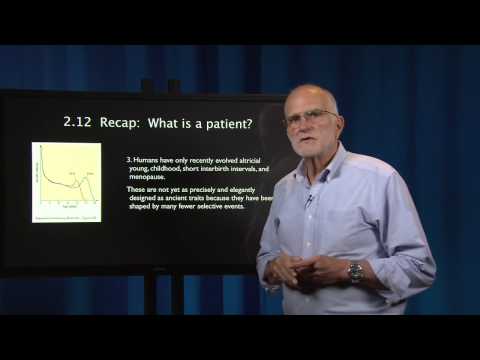 2.12 - What is a patient? Recap