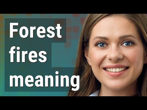Forest fires | meaning of Forest fires