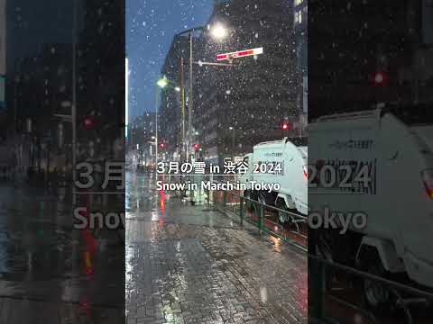 Snow in March in Tokyo at Dawn @VSV_Japan #travel #japan