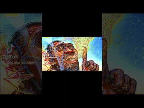 Alex Grey - Psychedelics Have Influenced Art