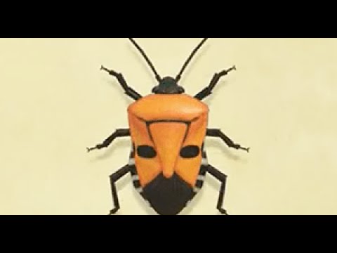 Animal Crossing New Horizon: Man-Faced Stink Bug Price