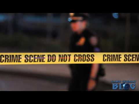 75 yo lady hit by stray during Gang Beef (Bronx, NYC)