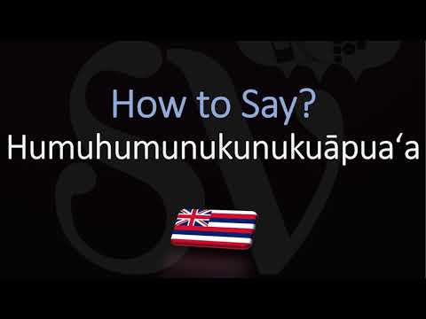 How to Pronounce Humuhumunukunukuāpuaʻa? Hawaiian State Fish