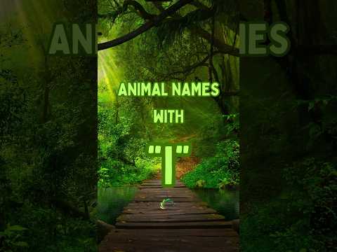 Incredible Animals that Start with 'I'