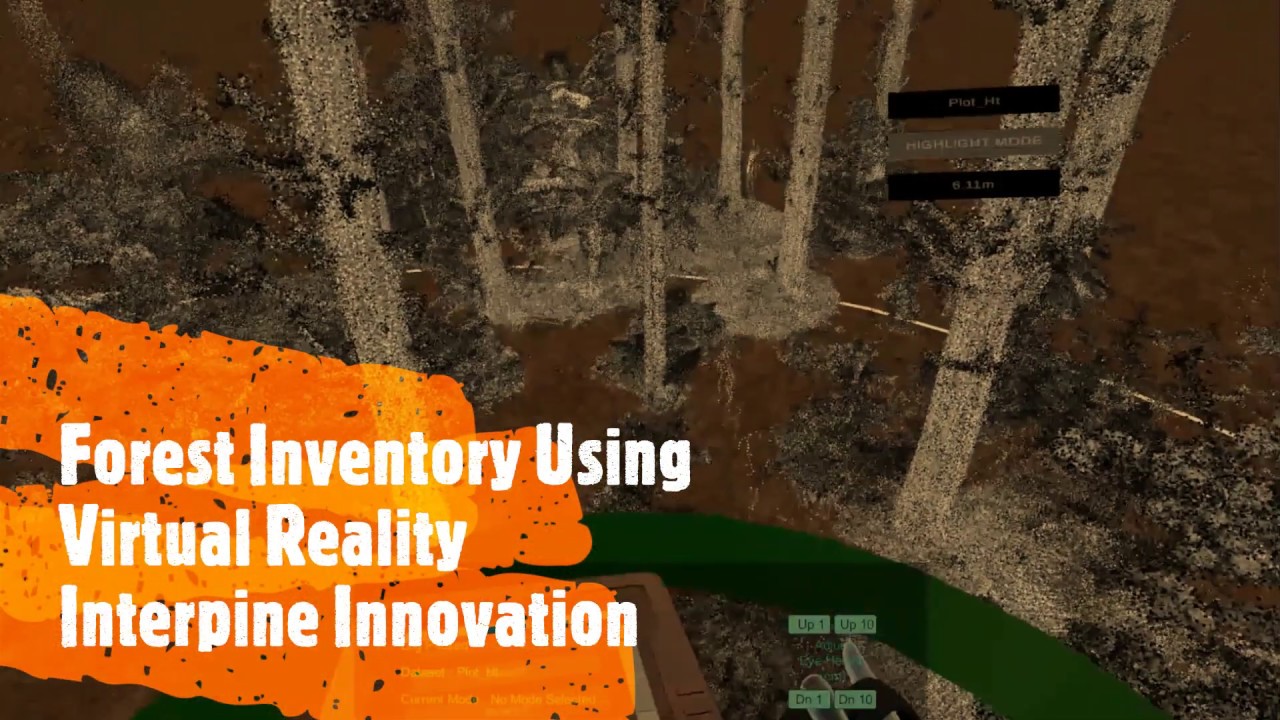 Forest Inventory Using Virtual Reality