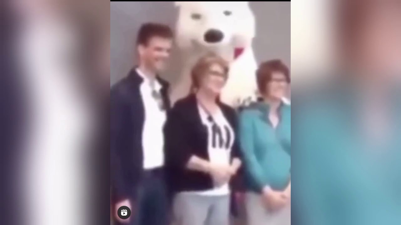 Coca cola polar bear meme