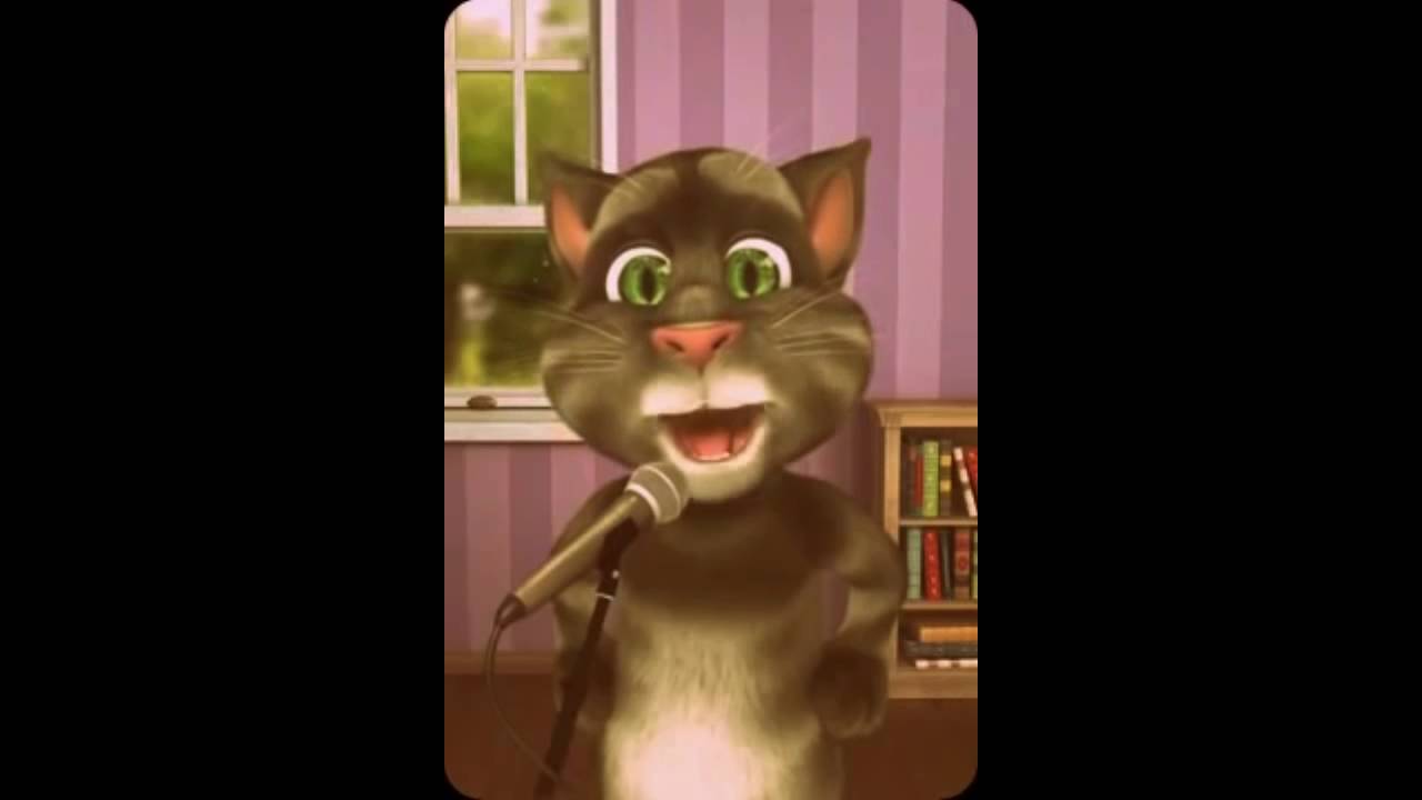 GATO TOM  FELIZ CUMPLEAÑOS PAULIS