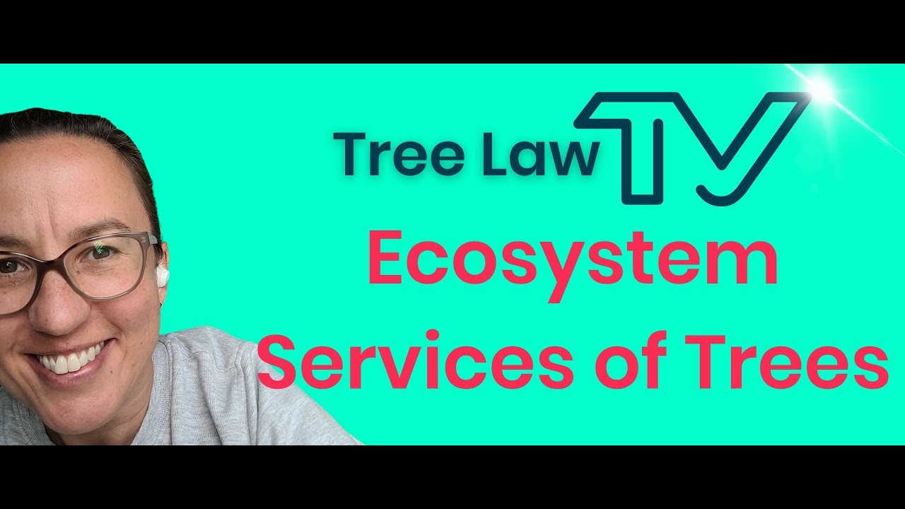 Ecosystem Services of Trees